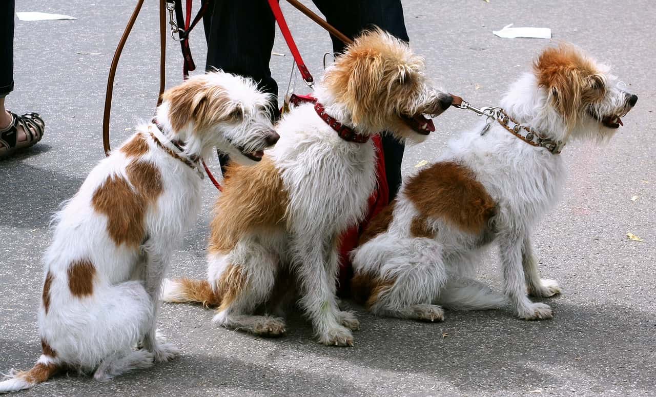 The Easy Street of Employment: 15 Surprisingly Chill Jobs