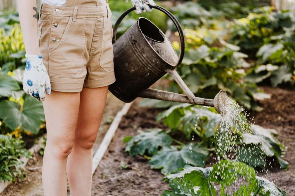 The Easy Street of Employment: 15 Surprisingly Chill Jobs