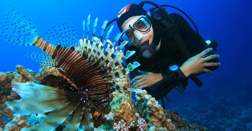 Occupational Prestige: Exploring the Most and Least Respected Jobs