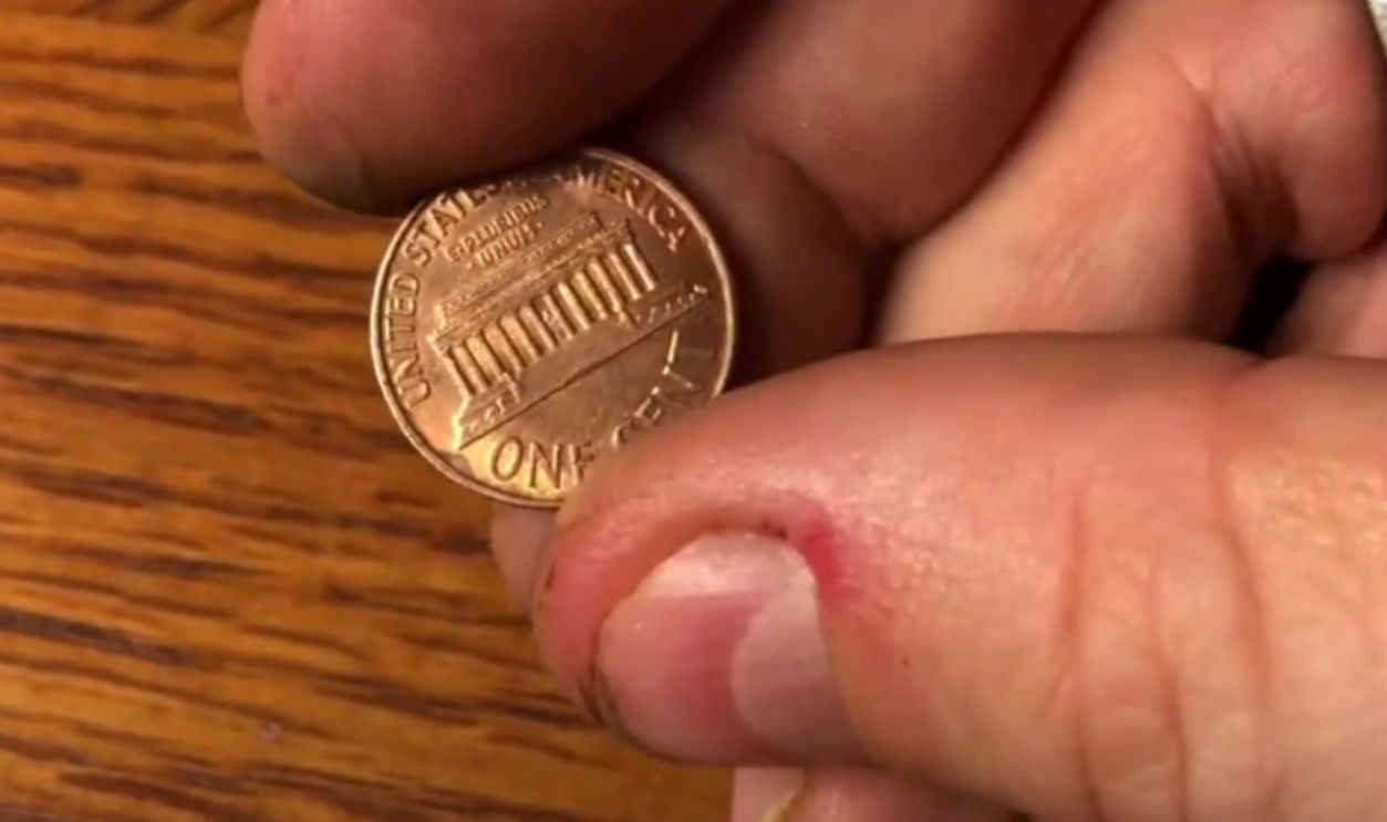 12 Precious Metal Coins Made In The 1960s That Hold Major Value