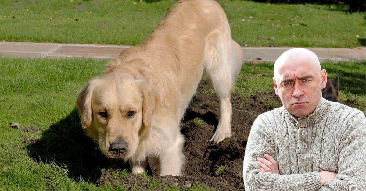 The neighbor's dog damaged our yard, and our insurance will not help ...